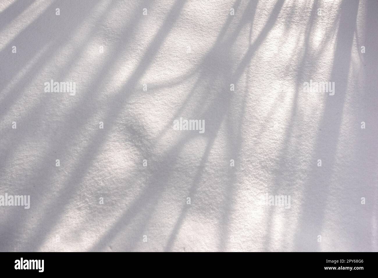shadow from the shrubs and trees in fresh white snow from the sun Stock ...