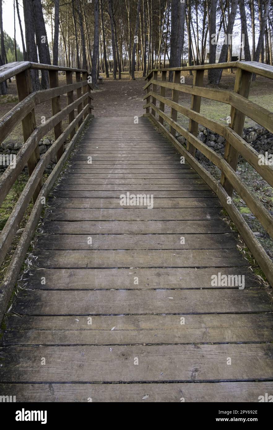 Footbridge lake in forest hi-res stock photography and images - Alamy