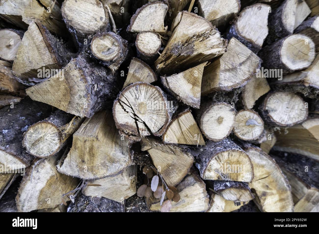 Stock pine wood log hi-res stock photography and images - Alamy