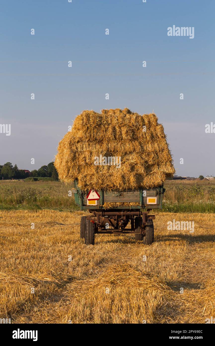 Wagon wheel trailer park hi-res stock photography and images - Alamy