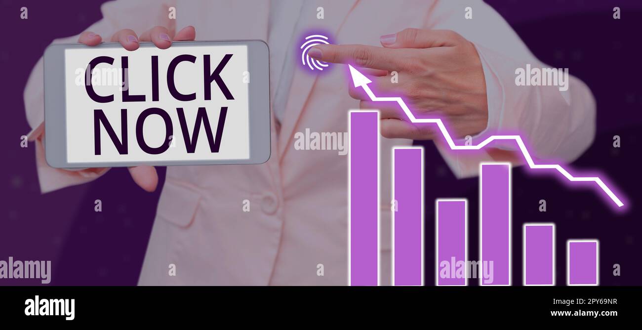 Conceptual display Click Now. Business overview pressing the button ...