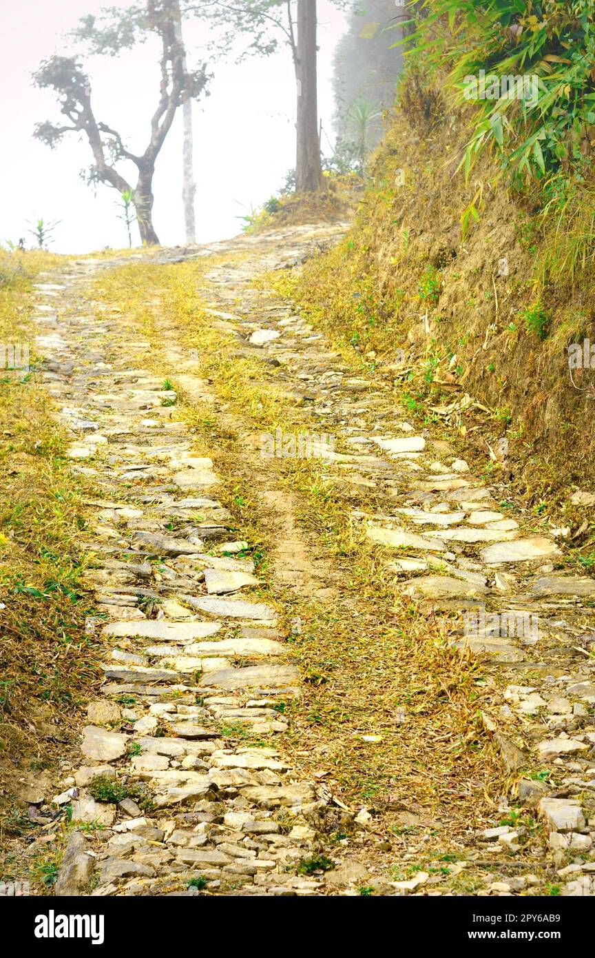 A stone mountain road is going uphill. Vertical image. Nature ...