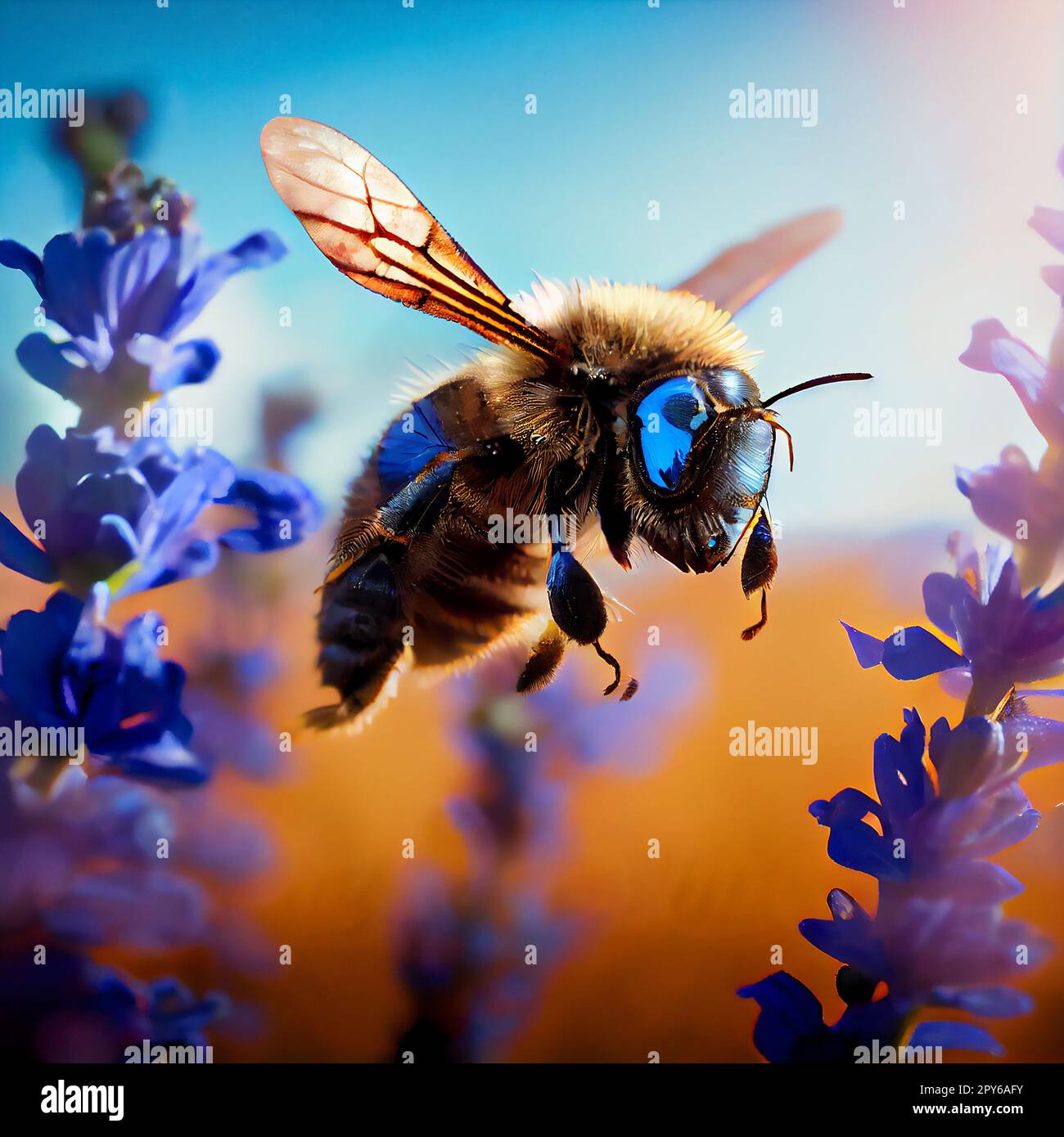 Flying bee with honey hi-res stock photography and images - Alamy