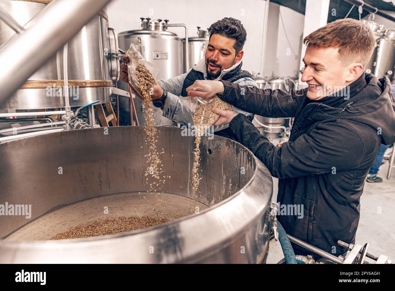 Brewmasters pours malted grain Stock Photo - Alamy