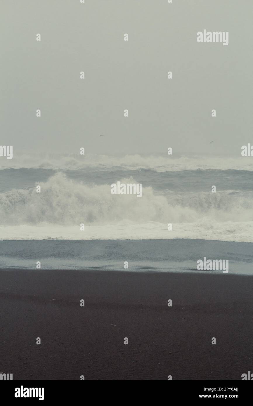 Wave with heavy foam rolling on beach landscape photo Stock Photo - Alamy