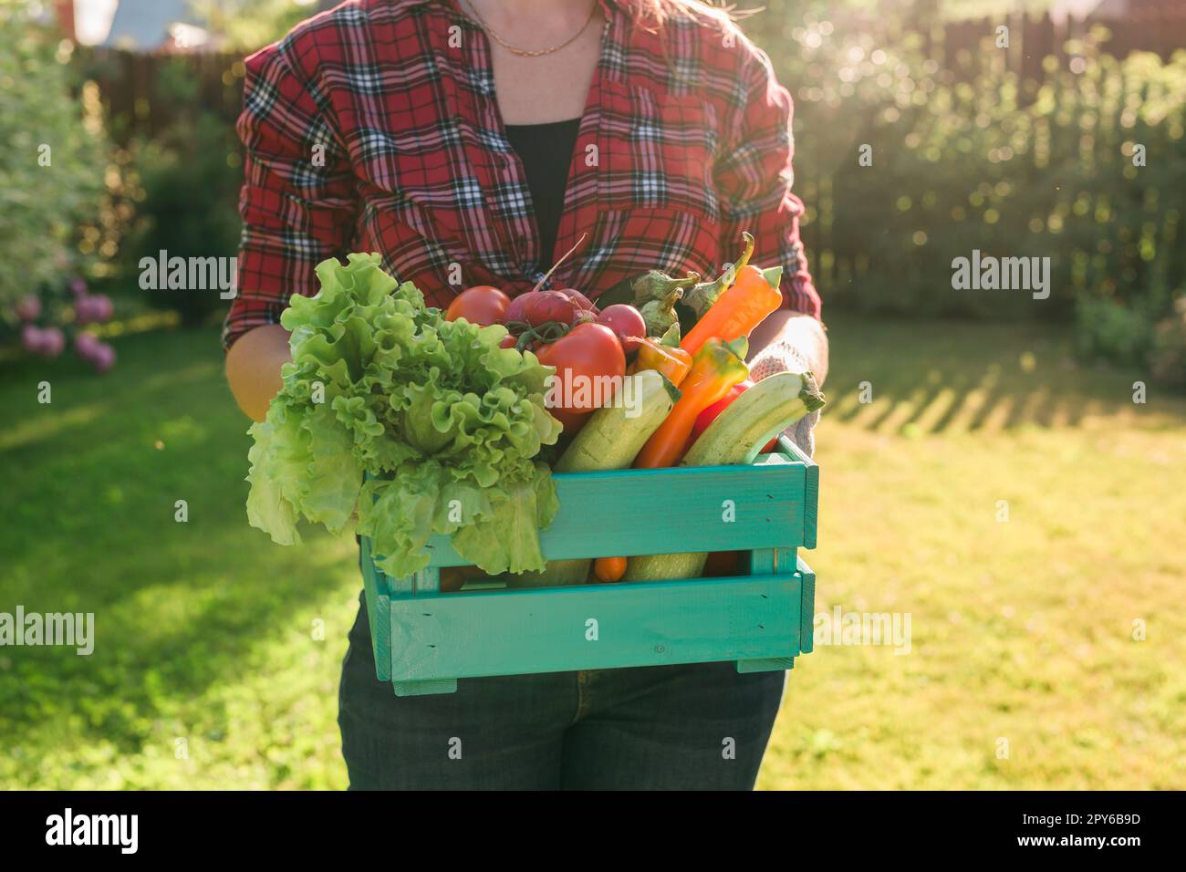 Female farmer carrying box of picked vegetables - garden and harvesting ...