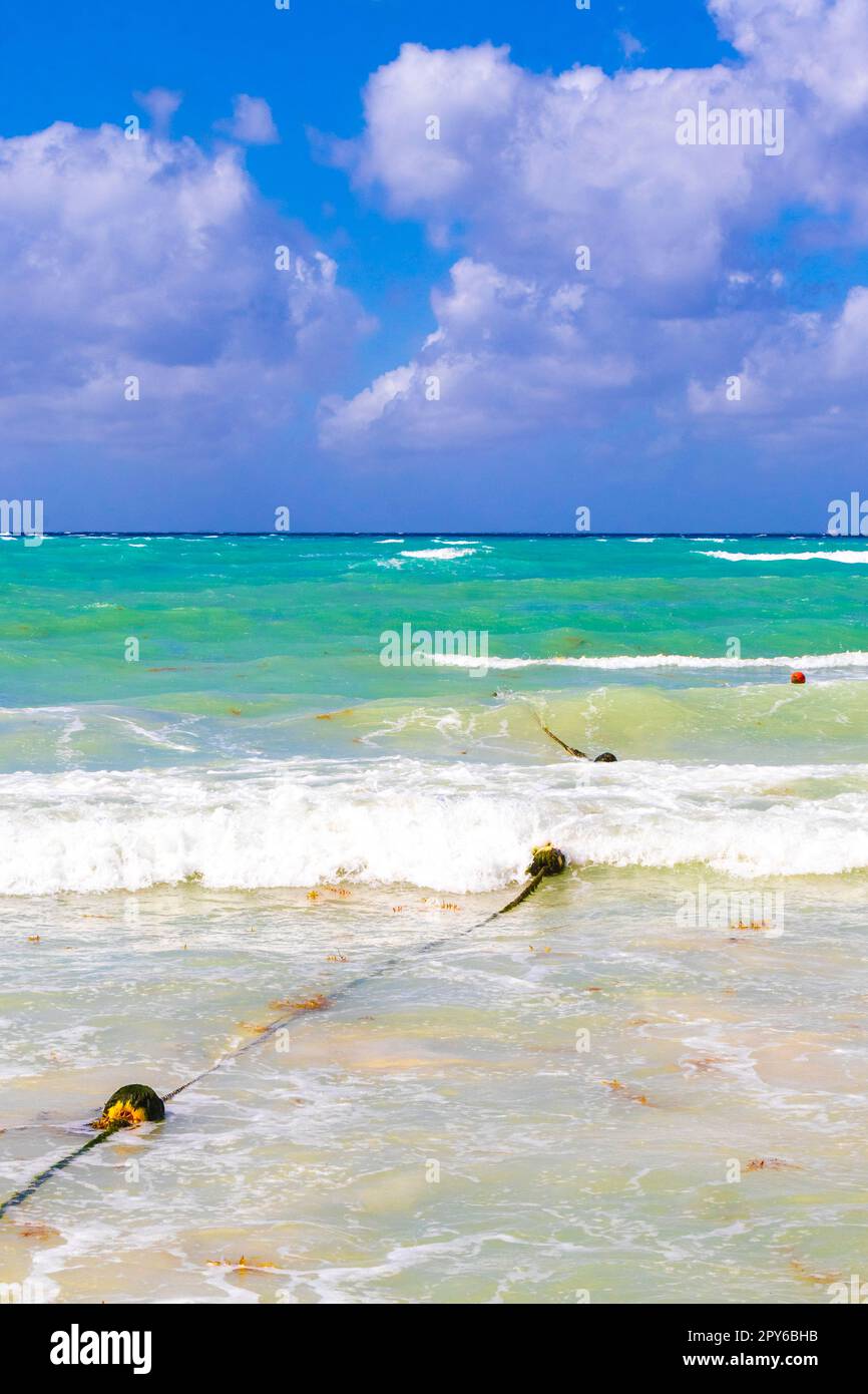 Blue caribbean water waves and ocean buoy and ropes Mexico Stock Photo ...