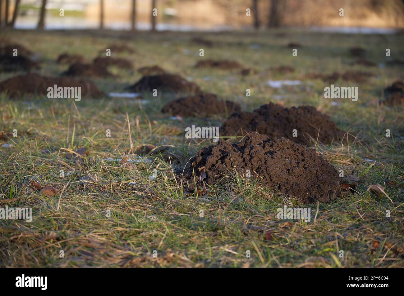 Mole heap winter hi-res stock photography and images - Alamy