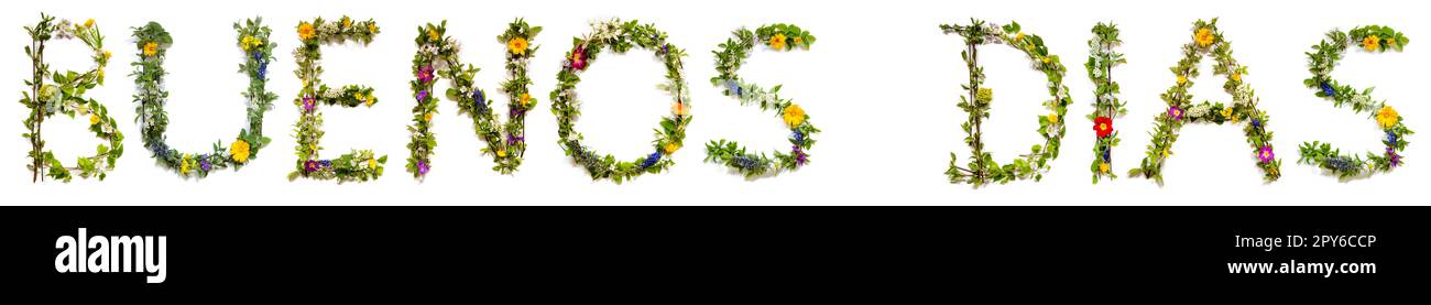 Blooming Flower Letters Building Spanish Word Buenos Dias Means Hello ...