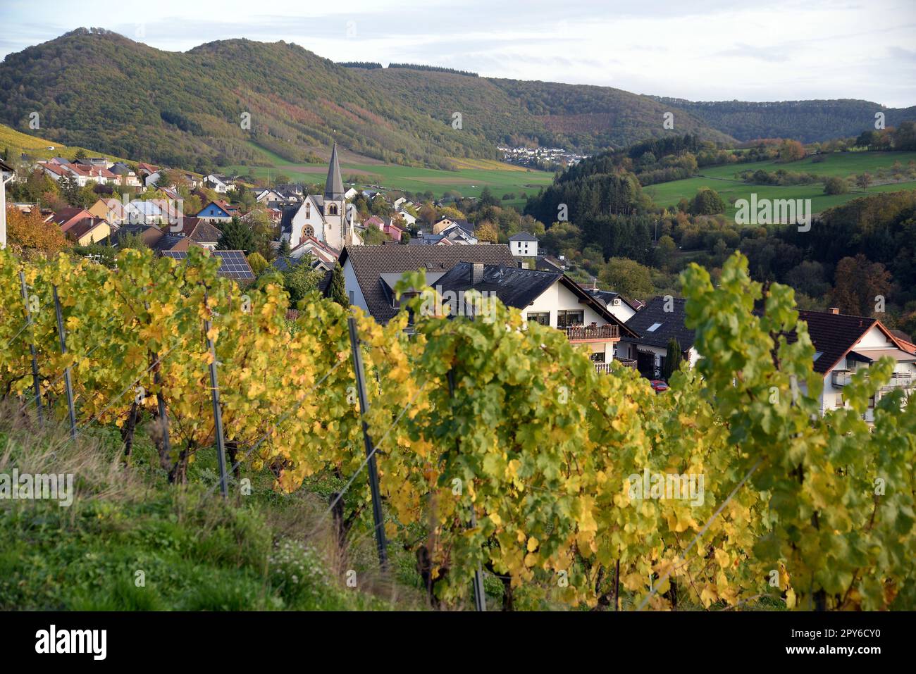 Ockfen hi-res stock photography and images - Alamy