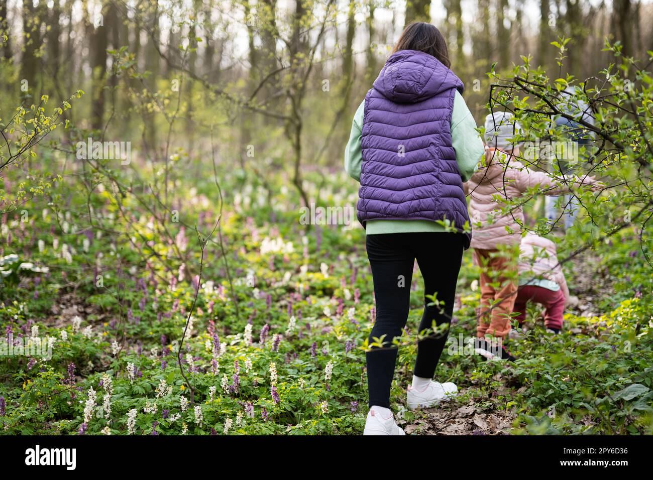 Back view of mother with three kids walking on forest trail. Outdoor spring leisure concept ...
