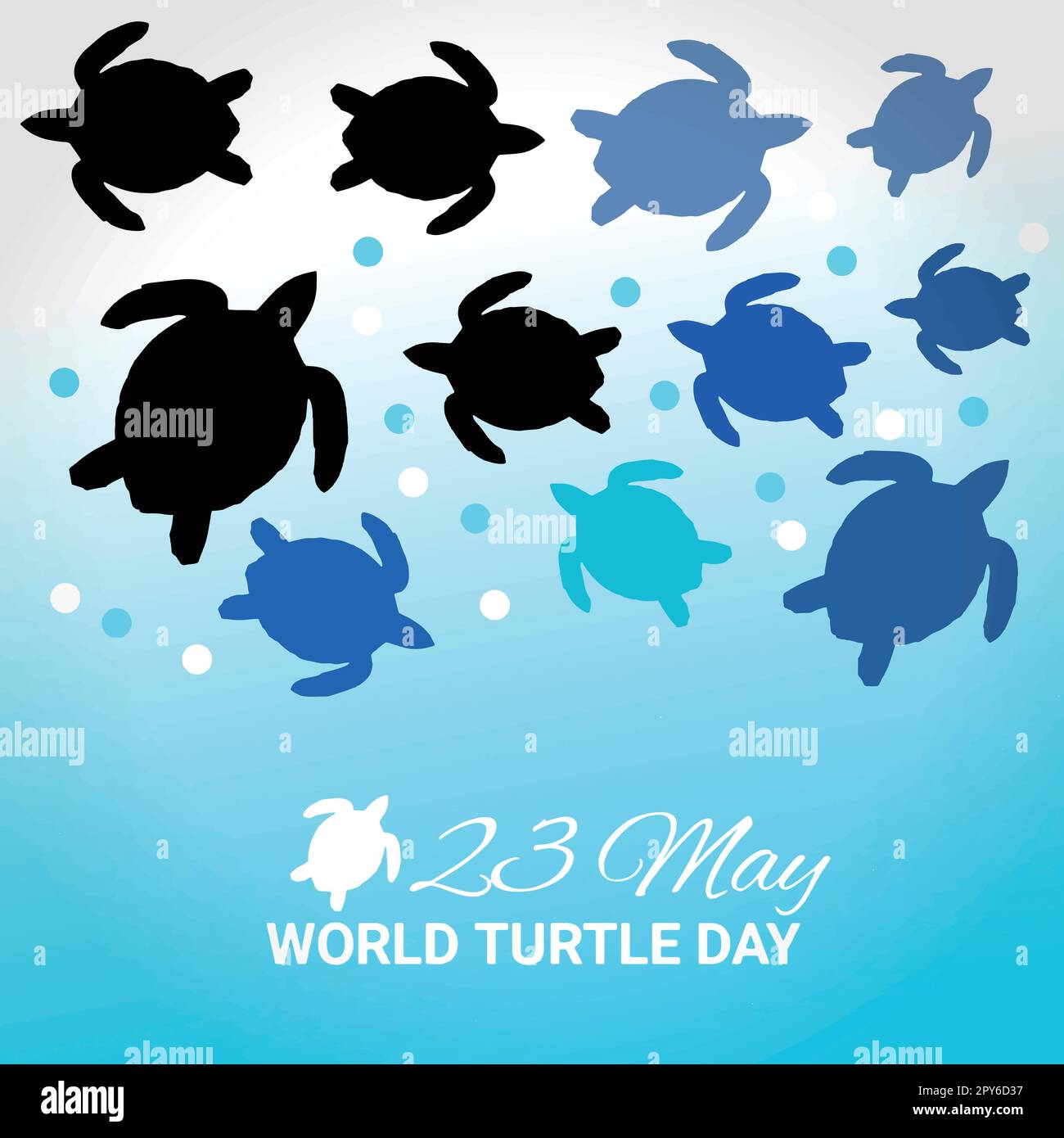 World Turtle Day. 23 May. Holiday concept. Template for background ...