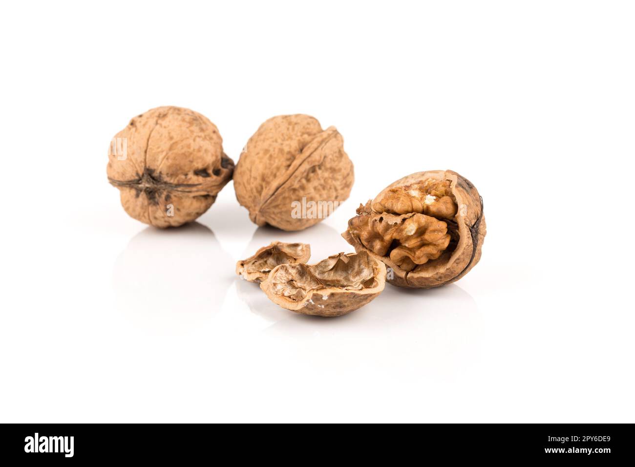 Nut on white hi-res stock photography and images - Alamy
