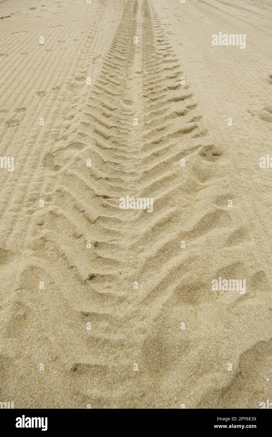Wheel tracks on the beach Stock Photo - Alamy