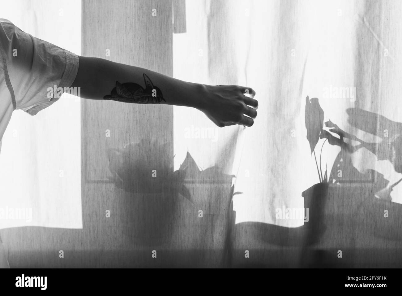 Close up hand with tattoo holding linen curtain concept photo Stock ...