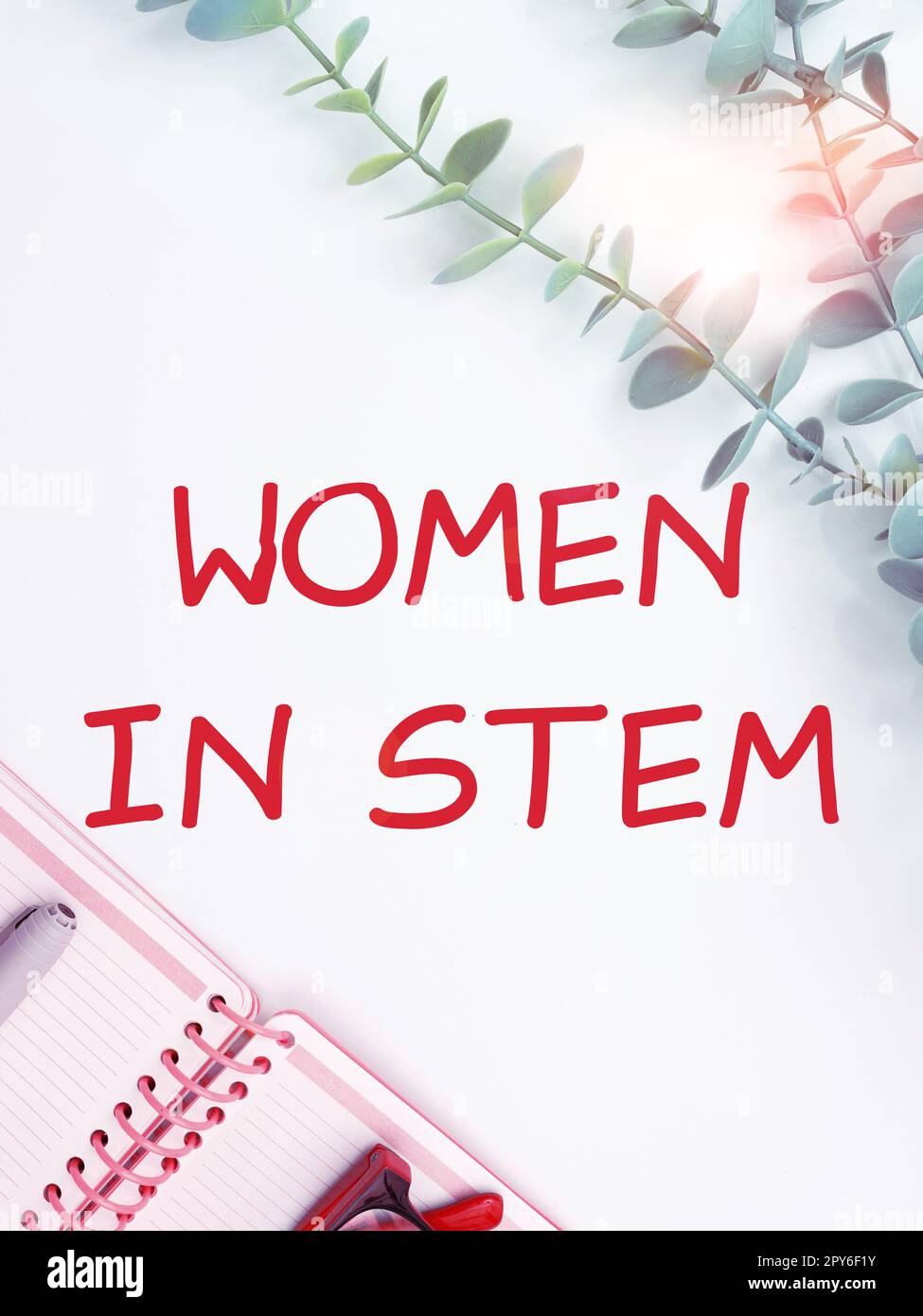 Inspiration showing sign Women In Stem. Concept meaning Science ...