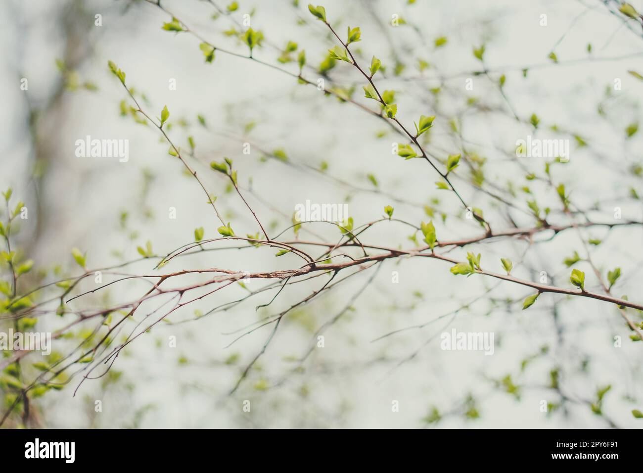 Beginning of time hi-res stock photography and images - Alamy