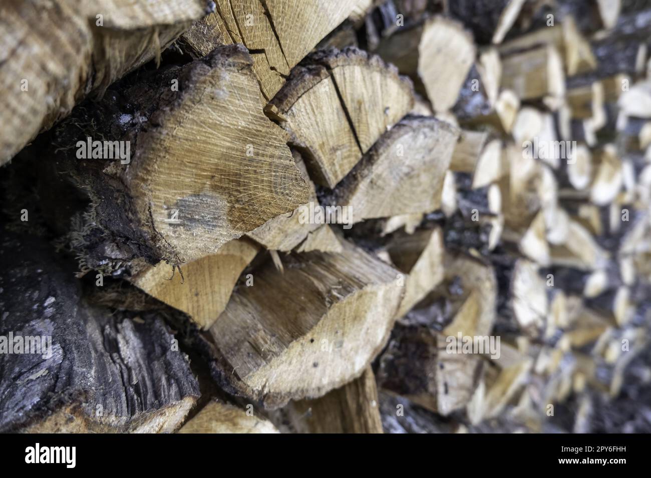 Log of wood hi-res stock photography and images - Alamy