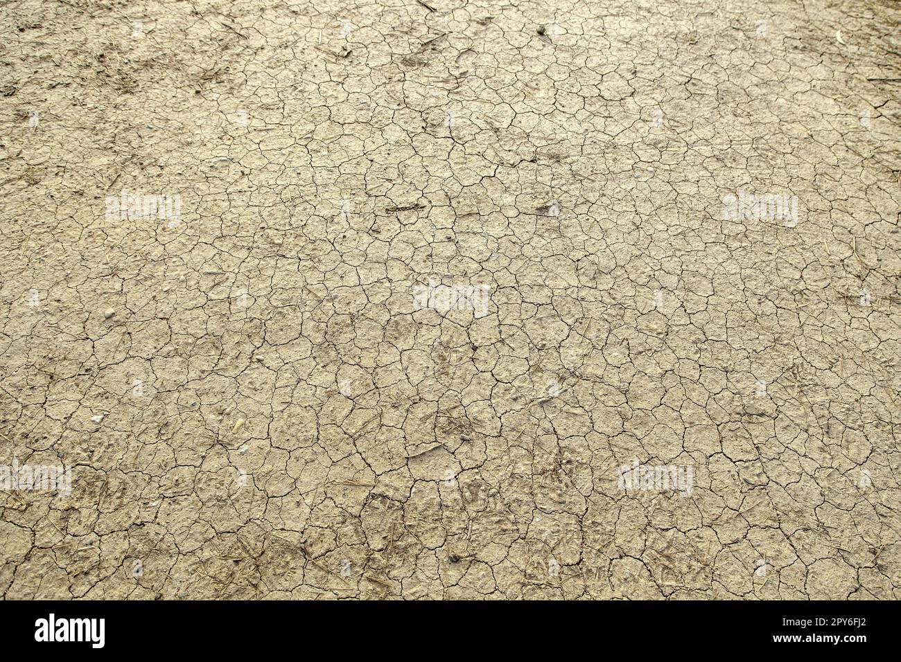 Dry land in a drought Stock Photo - Alamy