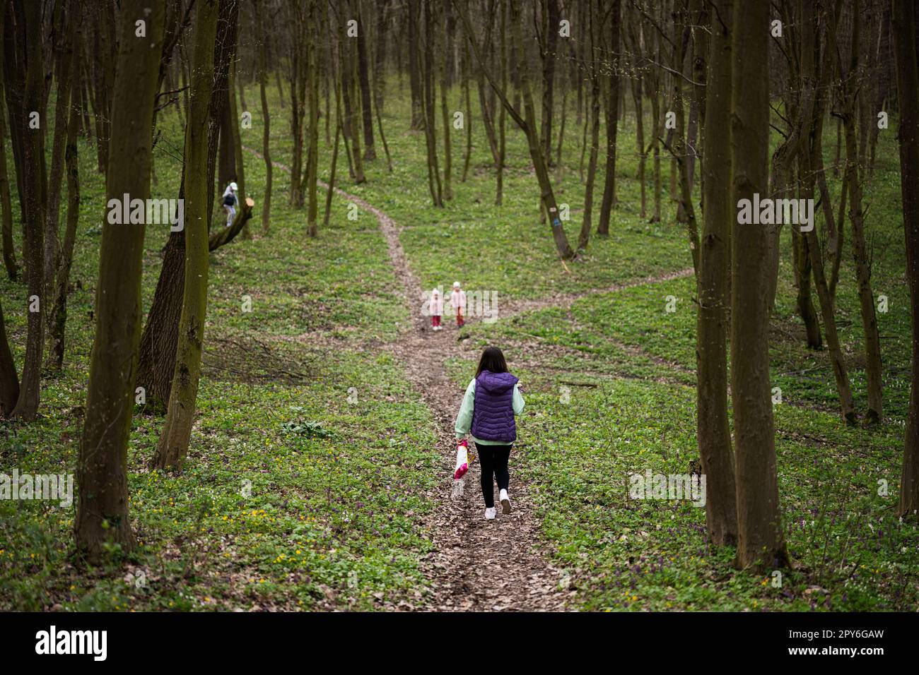 Back view of mother with three kids walking on forest trail. Outdoor spring leisure concept ...