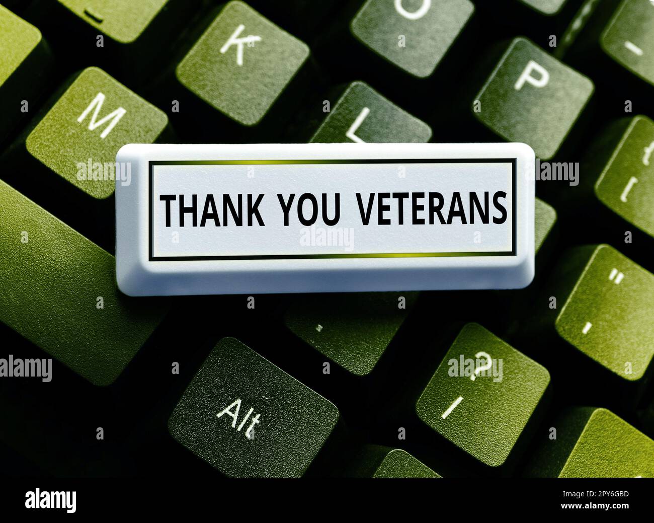 Conceptual display Thank You Veterans. Business approach Expression of ...