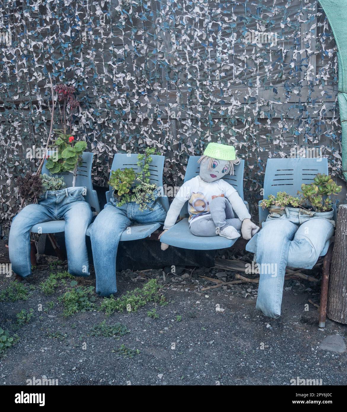 Old denim jeans used as plant containers in garden. Unusual garden ...