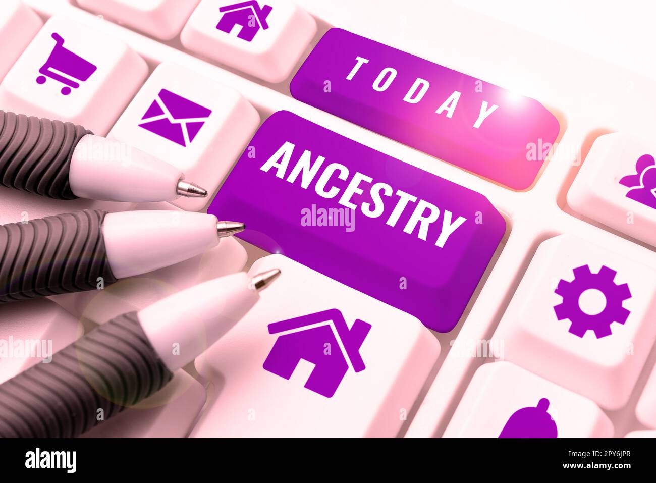 Text sign showing Ancestry. Word for the history or developmental ...