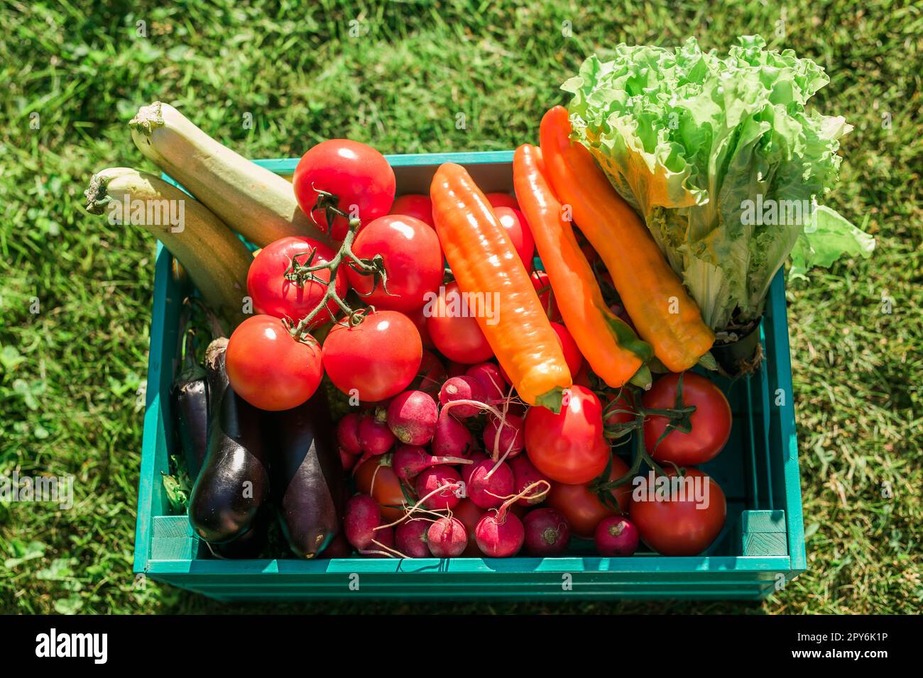 Wooden box with fresh farm vegetables top view outdoors in garden ...