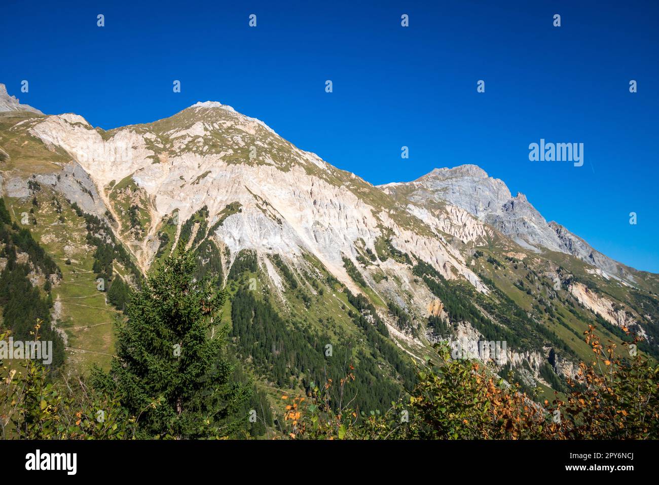 Mountains and forest landscape in French alps Stock Photo - Alamy