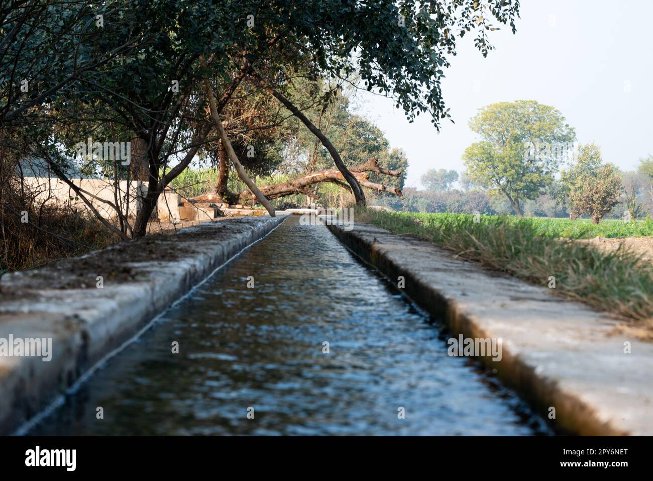 Water canal for crop field irrigation system in the village Stock Photo ...