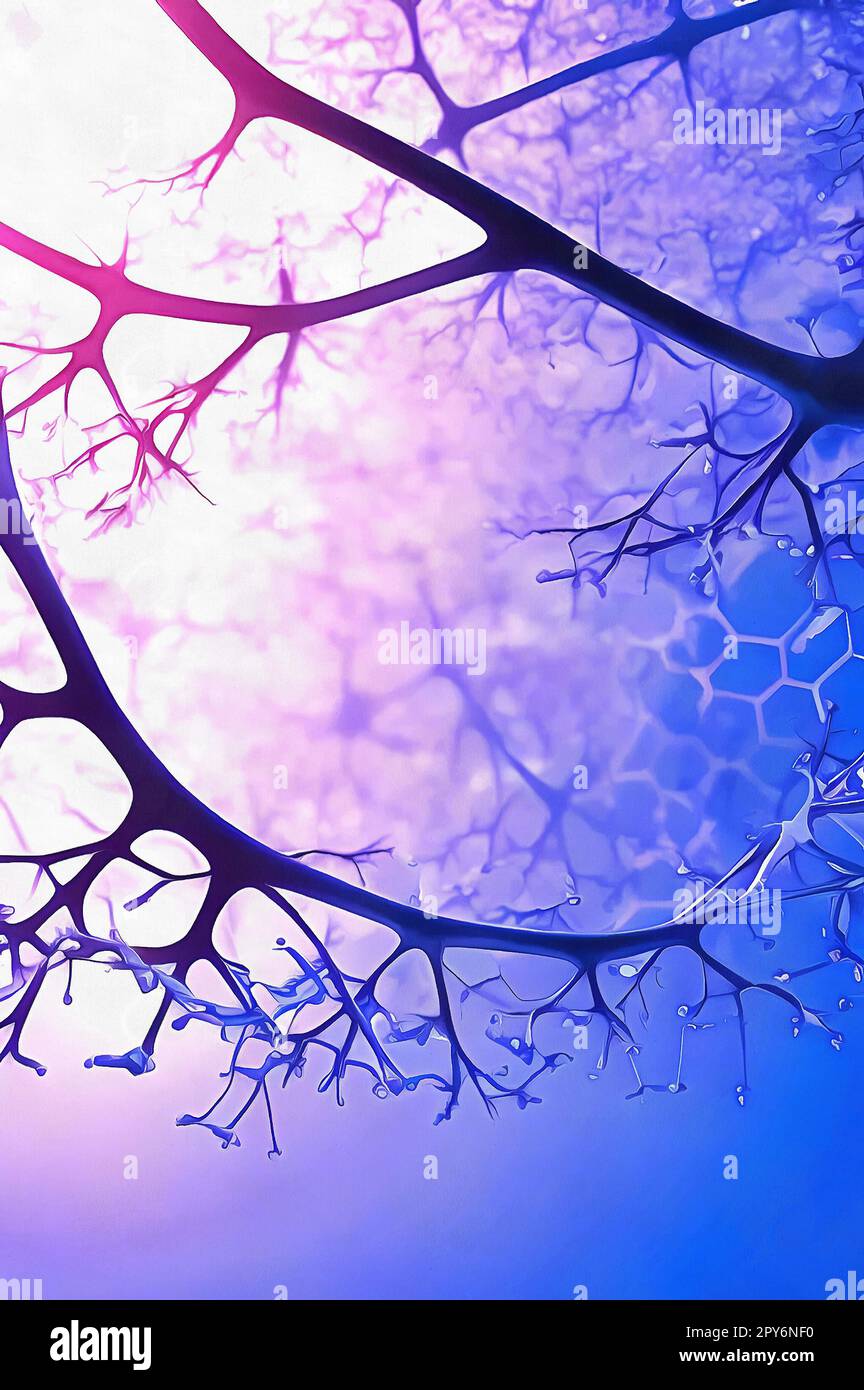 Neuron images hi-res stock photography and images - Alamy