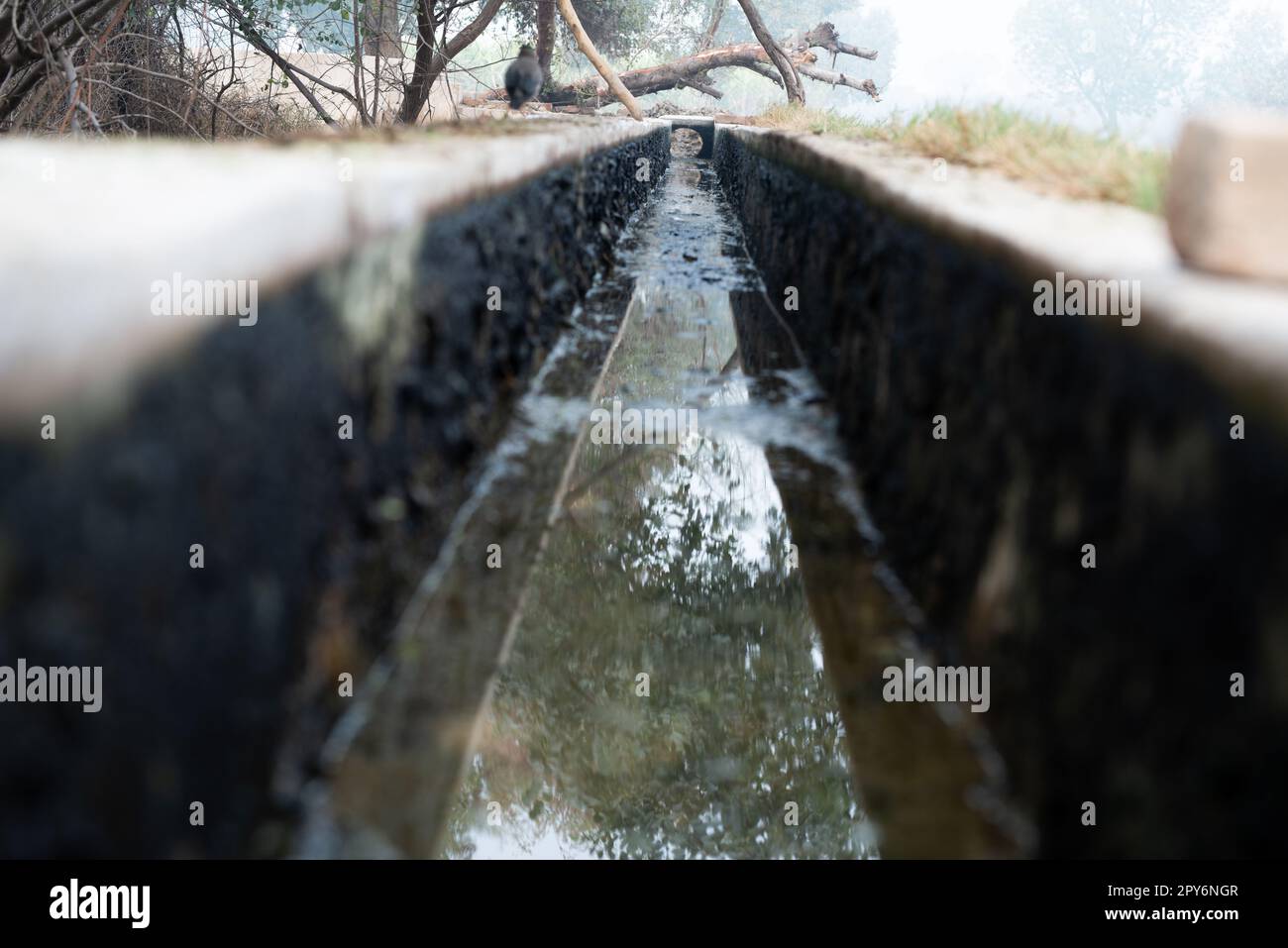Water canal for crop field irrigation system in the village Stock Photo ...