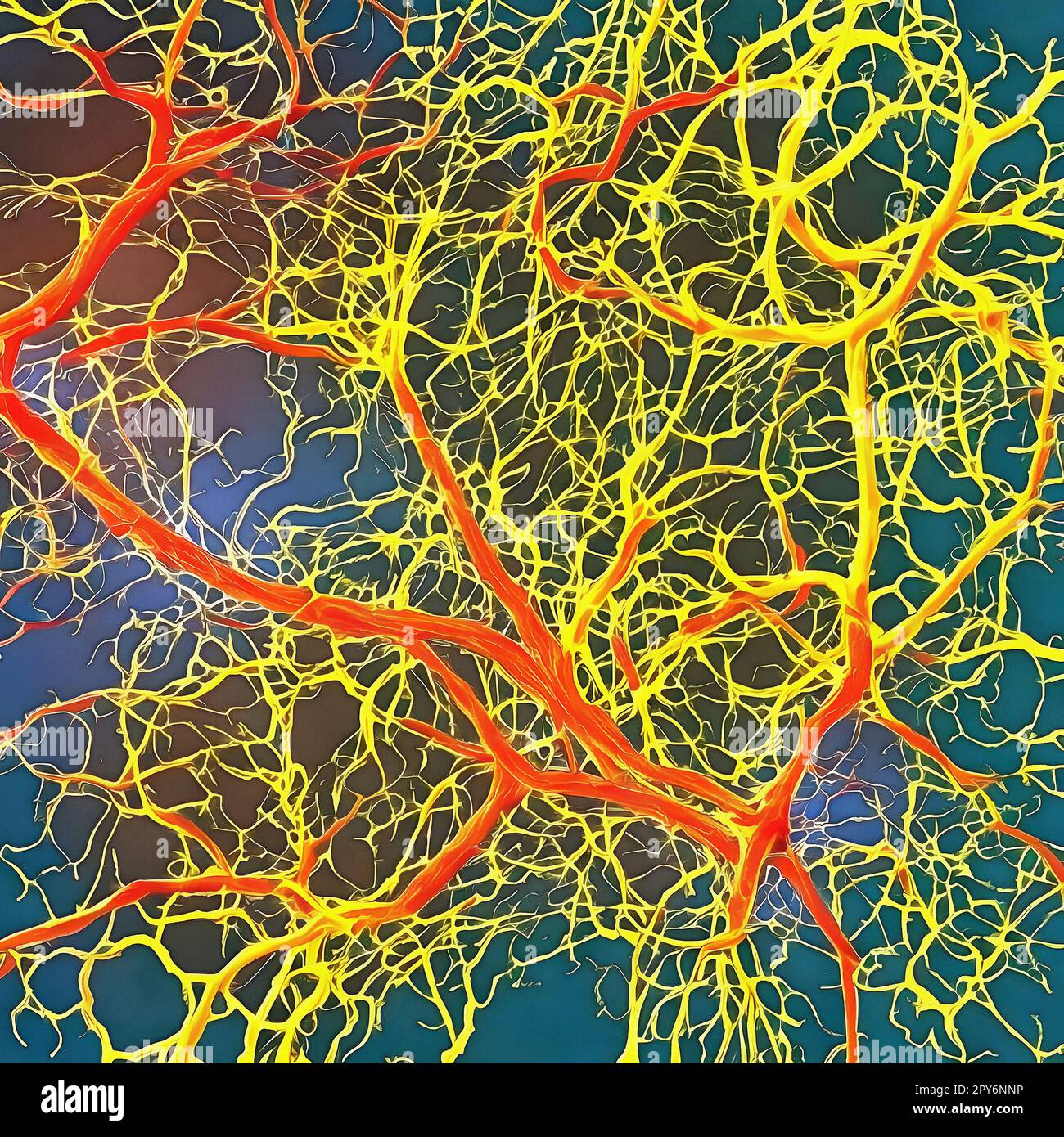 Neuron images hi-res stock photography and images - Alamy