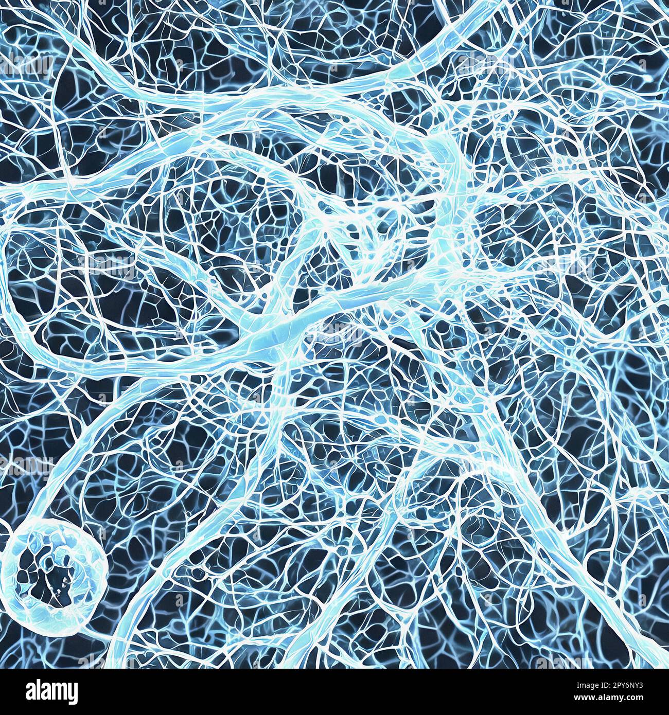 Neuron images hi-res stock photography and images - Alamy