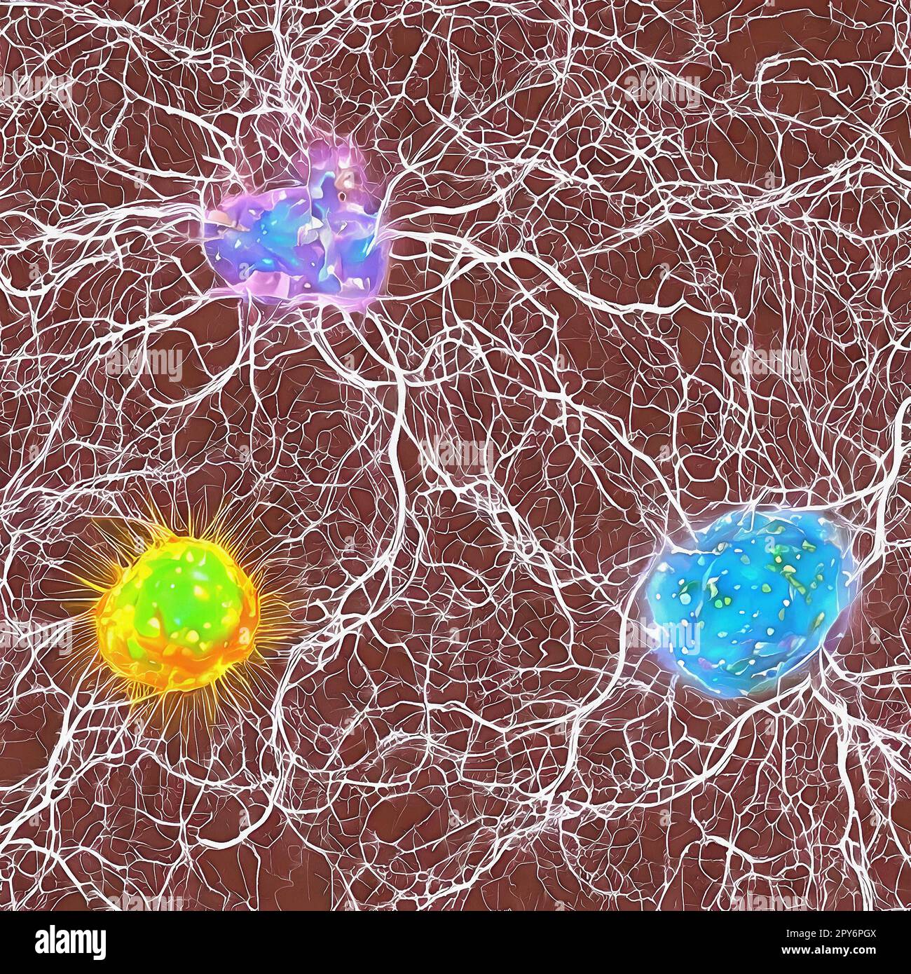 Neuron images hi-res stock photography and images - Alamy