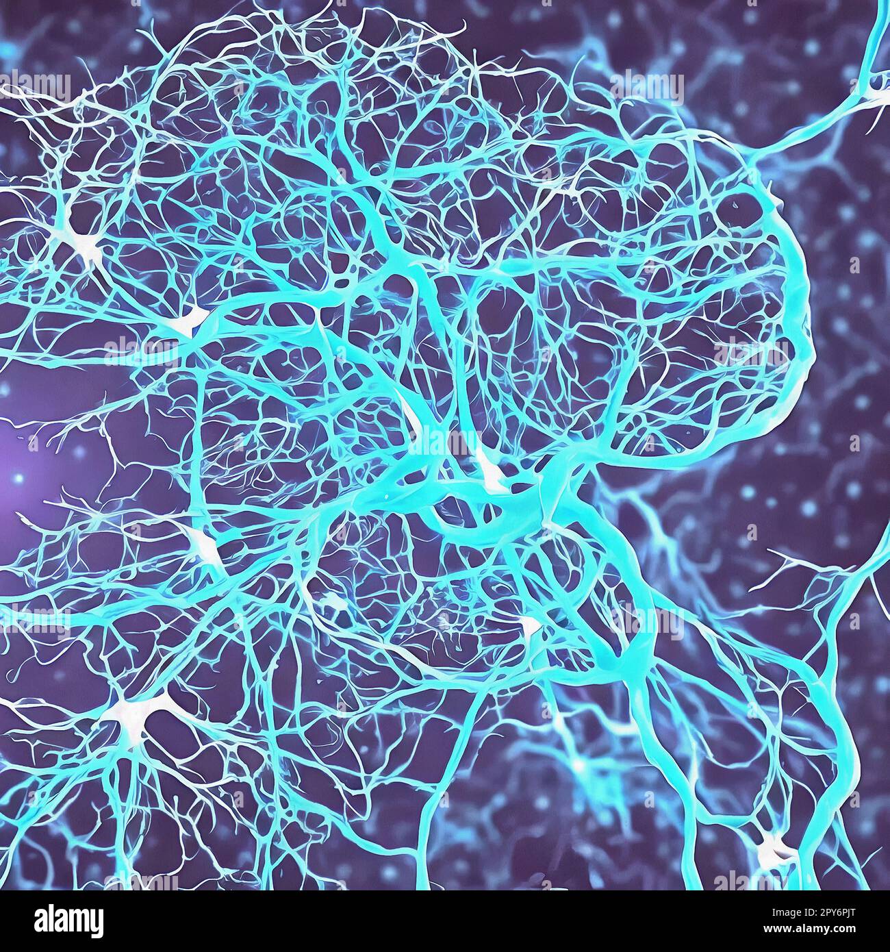 Neuron images hi-res stock photography and images - Alamy