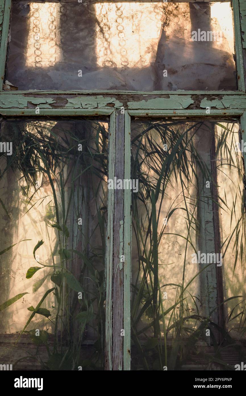 Perspective window up old hi-res stock photography and images - Alamy