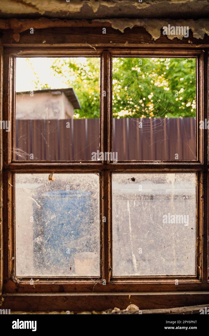 Close up window with spider net concept photo Stock Photo - Alamy