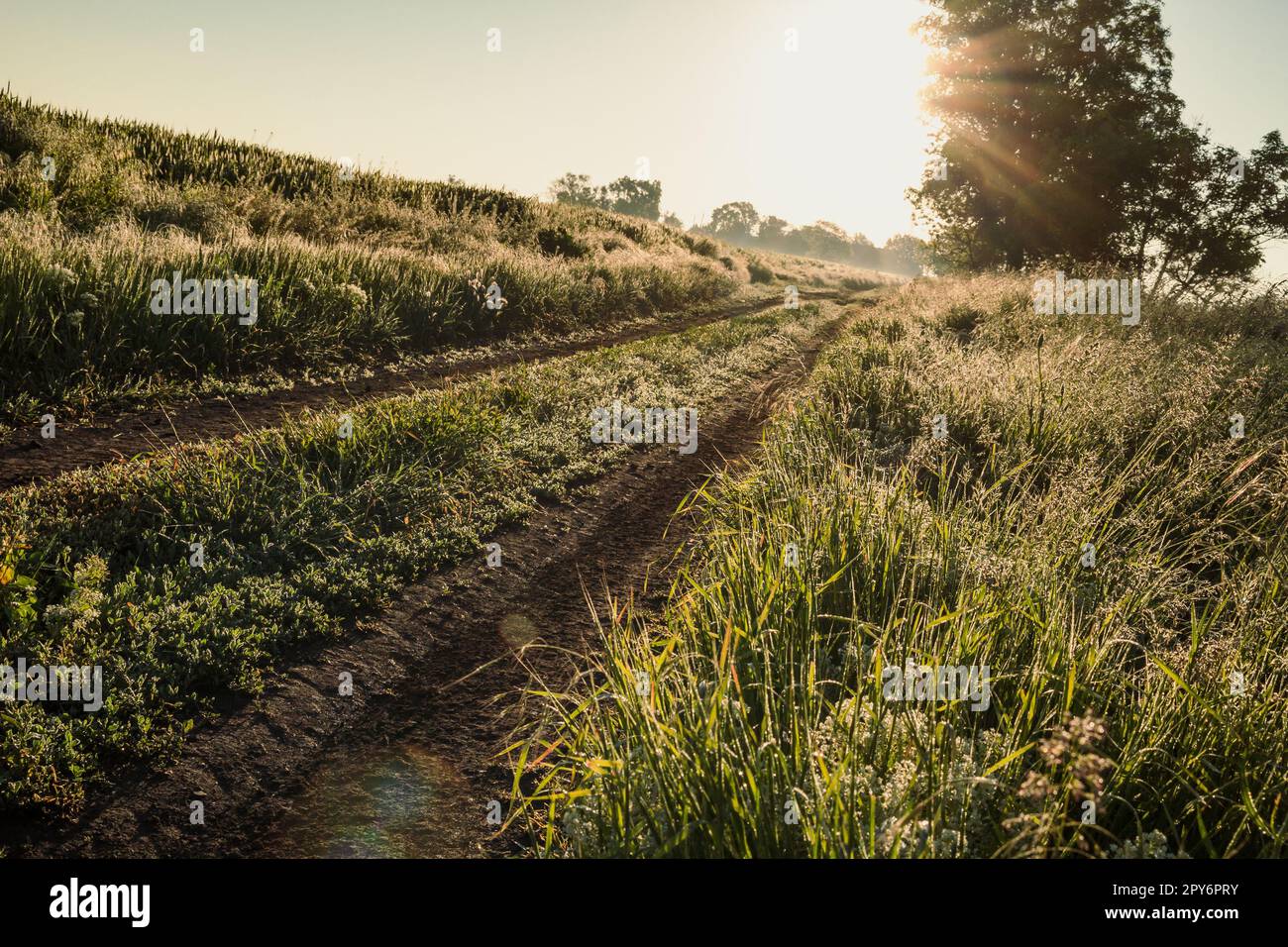 Car trace in field landscape photo Stock Photo - Alamy