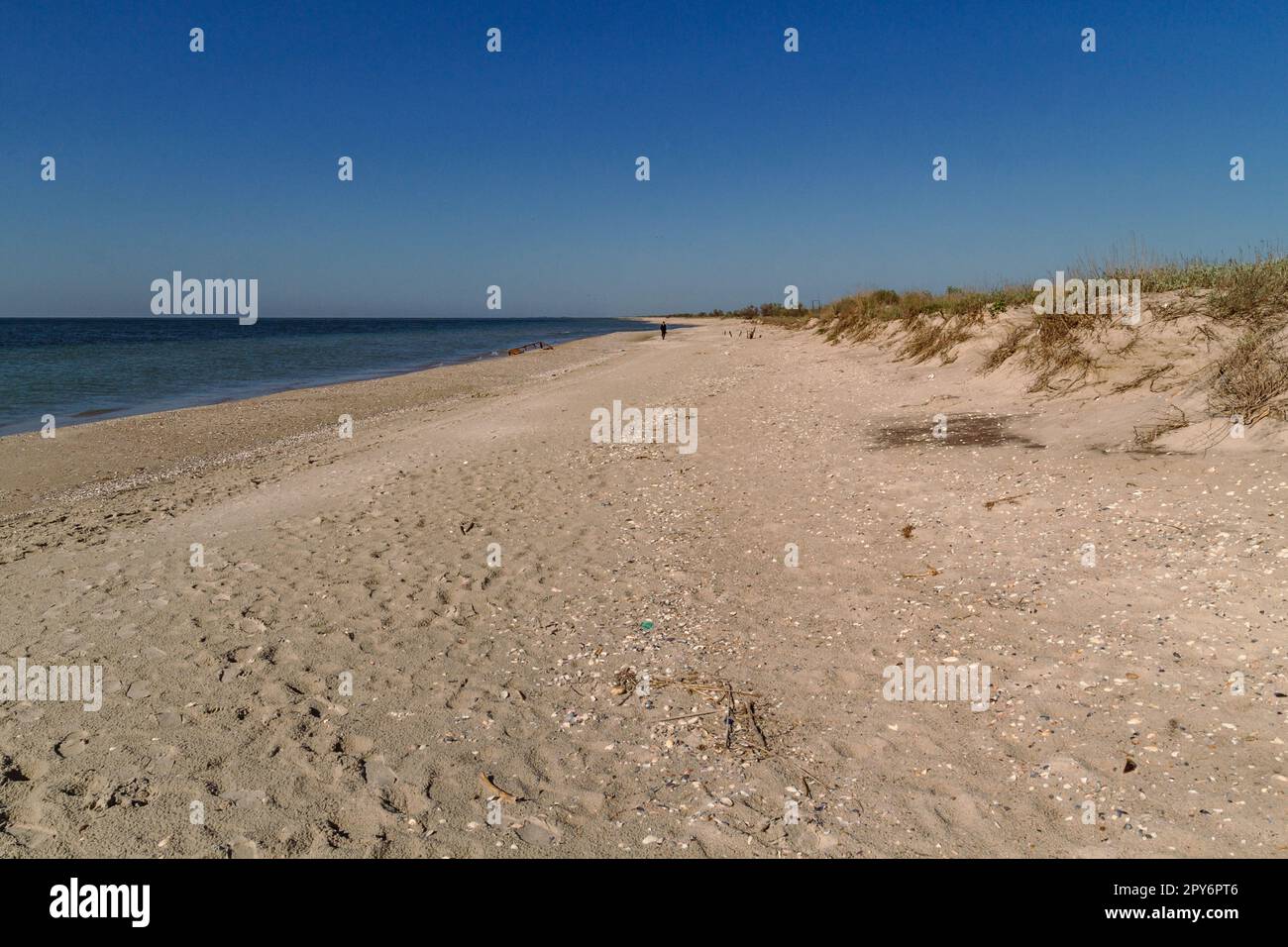 Sandy shore landscape photo Stock Photo - Alamy