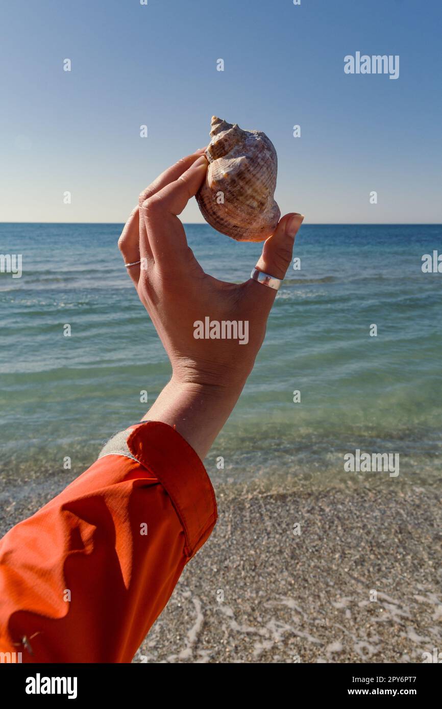 Cockleshell hi-res stock photography and images - Alamy