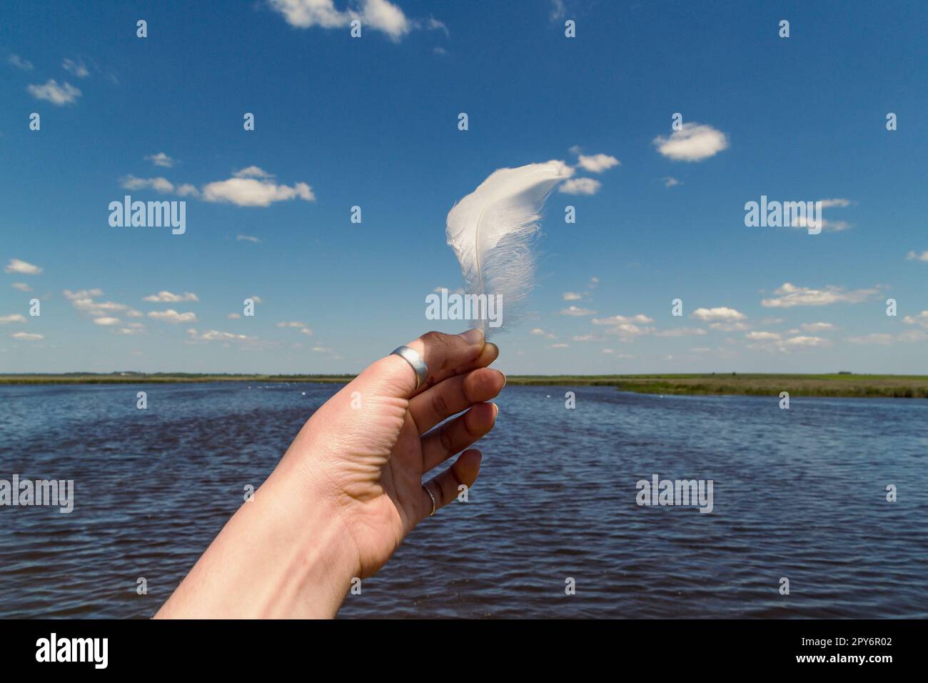 Feather photography hi-res stock photography and images - Alamy