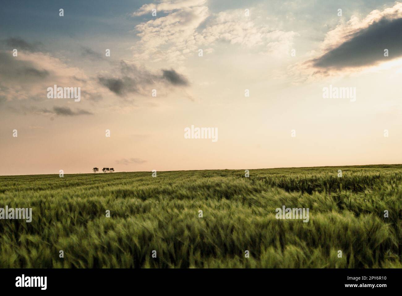 Prairie landscape photo Stock Photo - Alamy