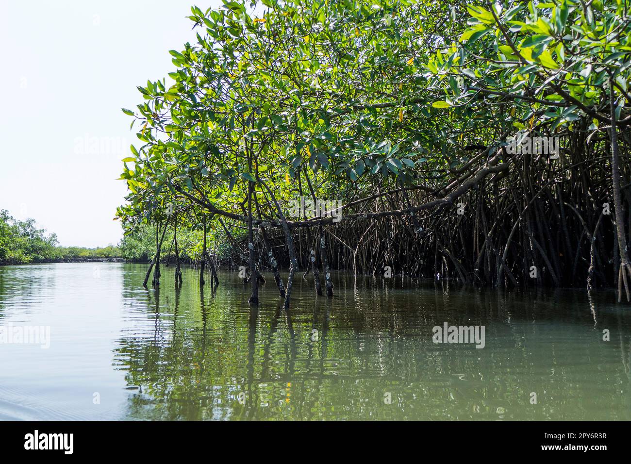 Makasutu national park hi-res stock photography and images - Alamy
