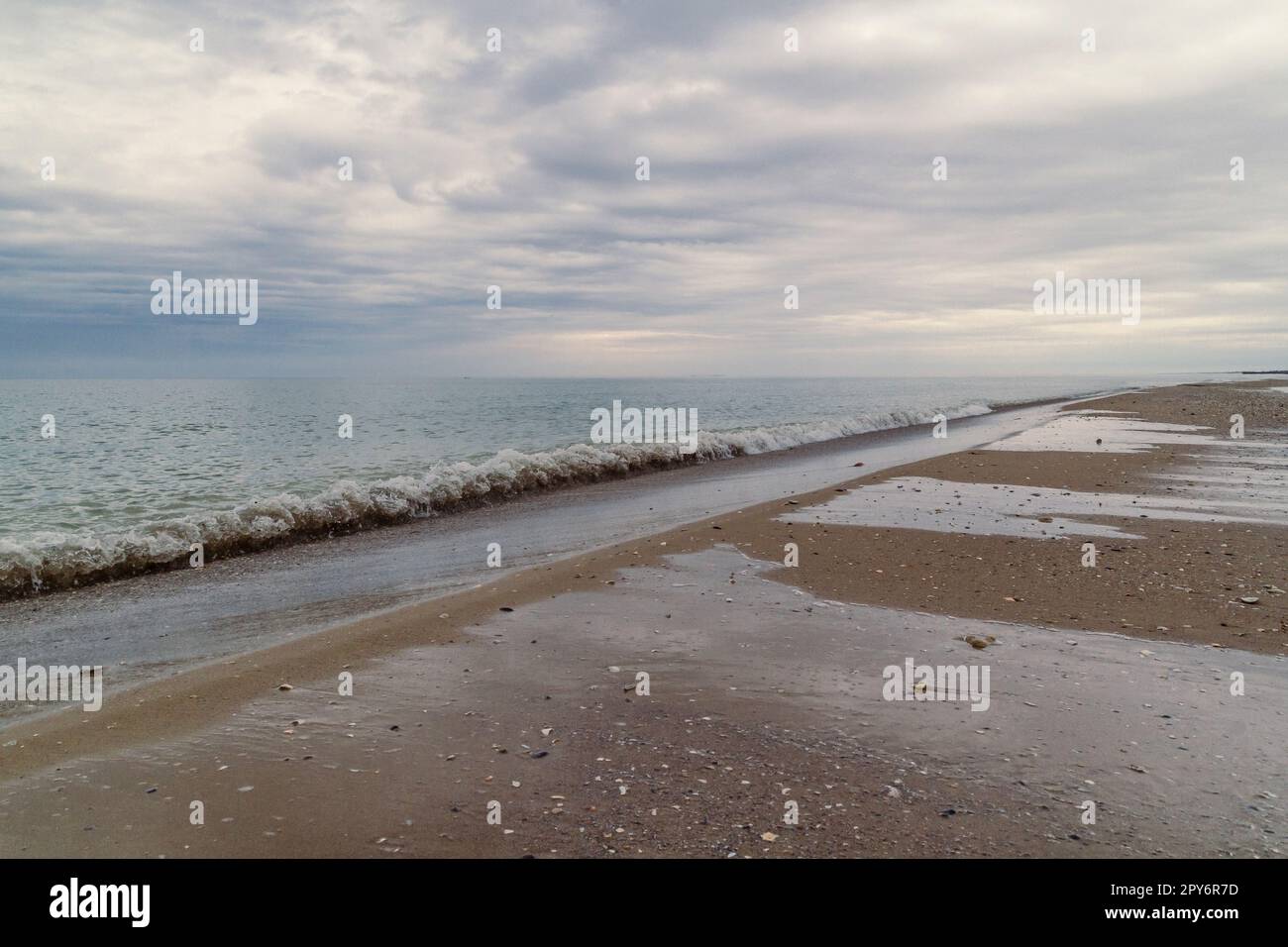 Wavelet image hi-res stock photography and images - Alamy