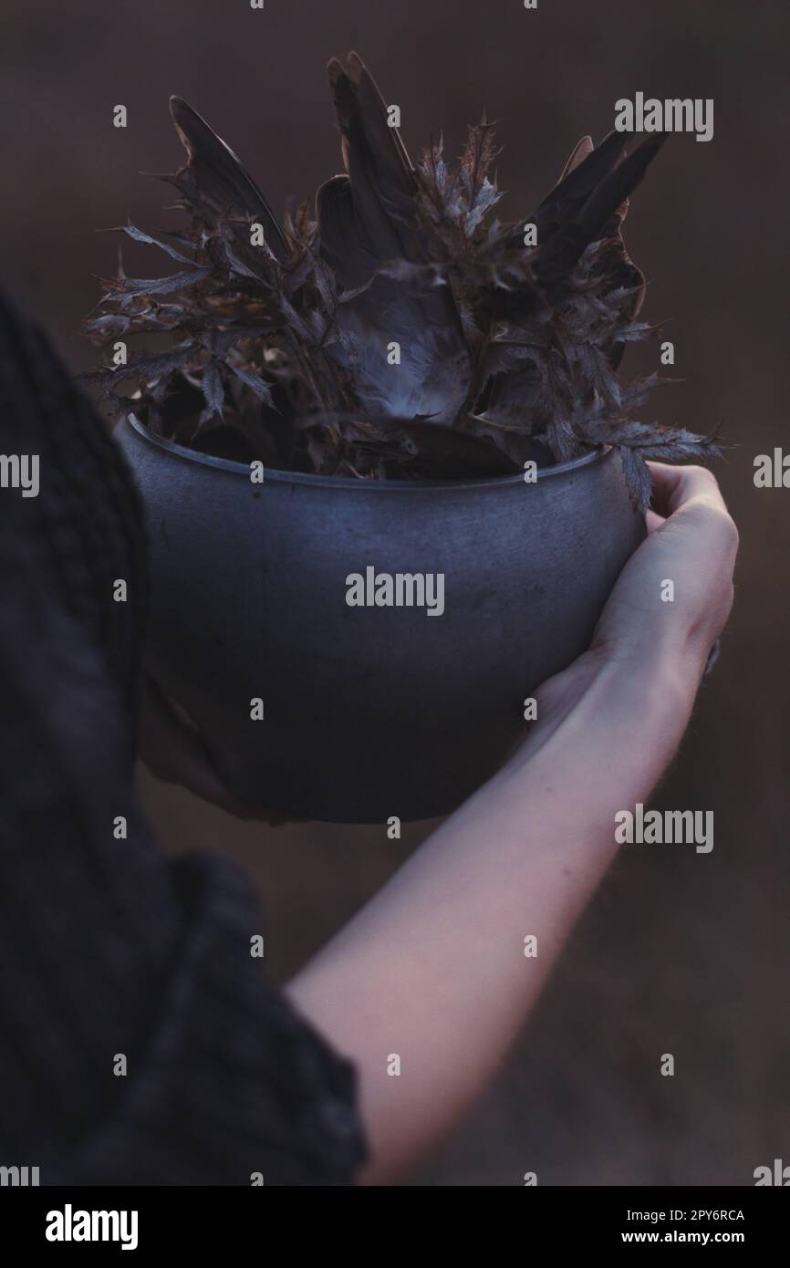 Close up cassolette with esoteric items concept photo Stock Photo - Alamy