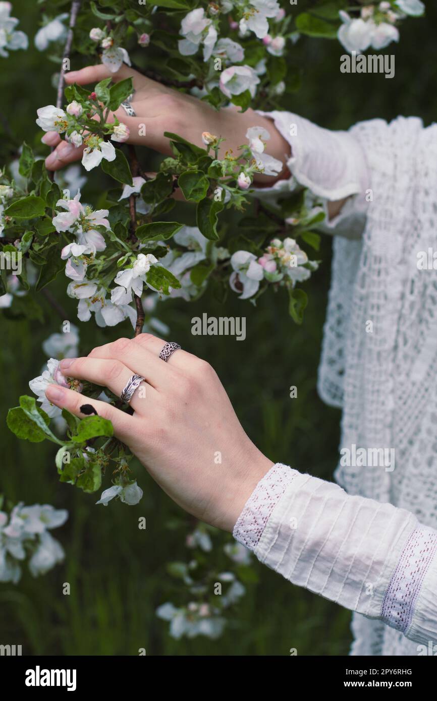 Close up hands on blooming branch concept photo Stock Photo - Alamy