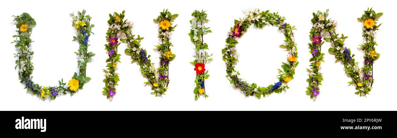 Blooming Flower Letters Building English Word Union Stock Photo - Alamy