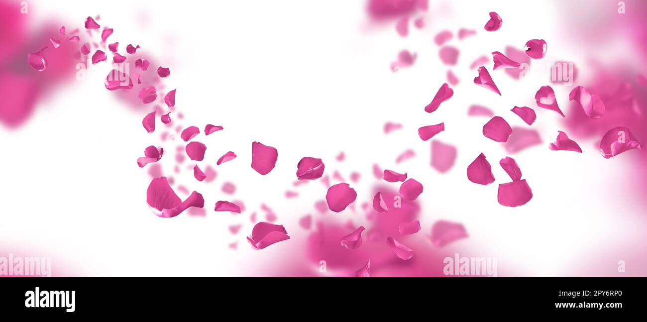 Background with floating rose petals Stock Photo - Alamy