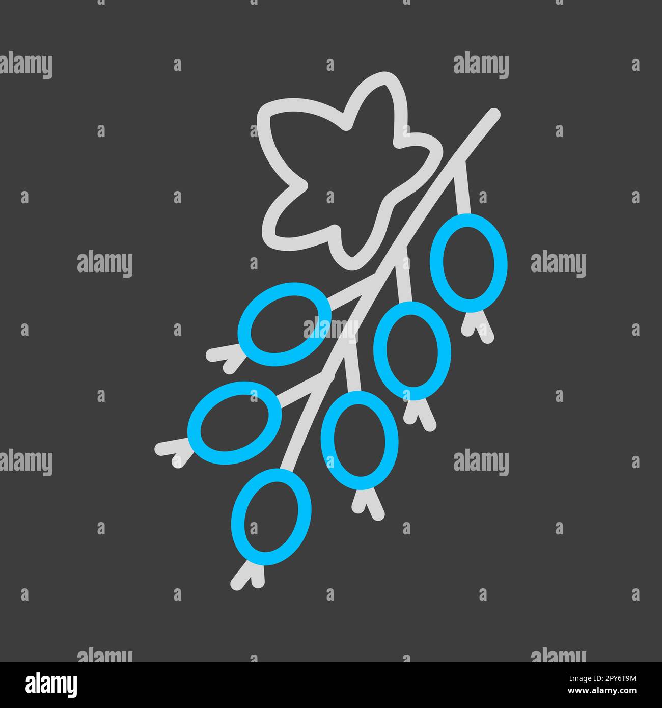 Currant berry vector on dark background icon. Graph symbol for food and ...